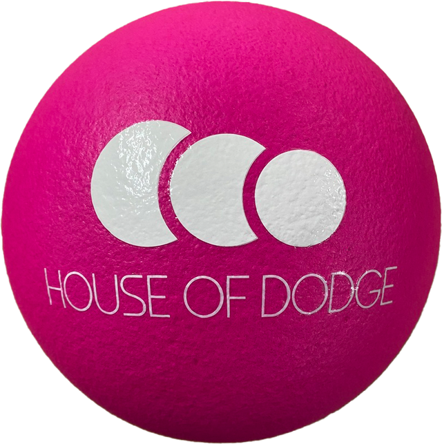 House of Dodge - The Home of Dodgeball – www.houseofdodge.co.uk