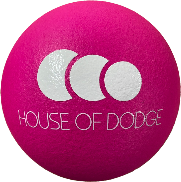 House of Dodge - The Home of Dodgeball – www.houseofdodge.co.uk