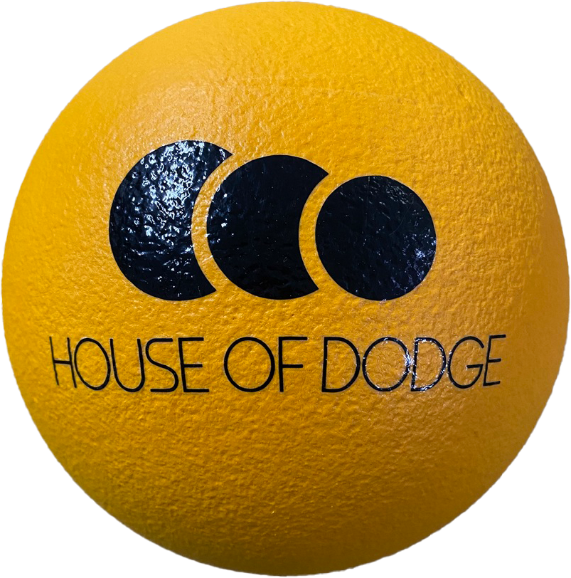 Foam Dodgeball (Adult - 7") – www.houseofdodge.co.uk
