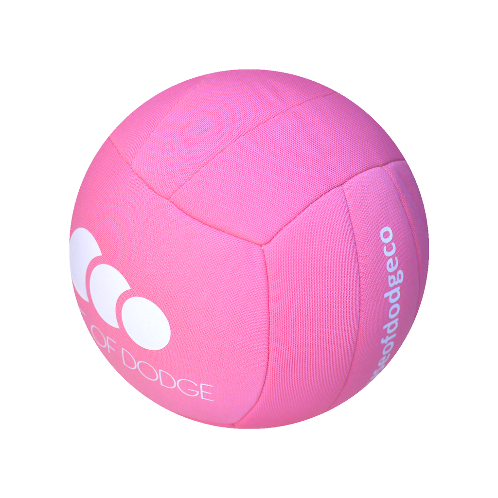 Rainbow Range - Cloth Dodgeball Size 2 - Junior Dodgeball – www ...
